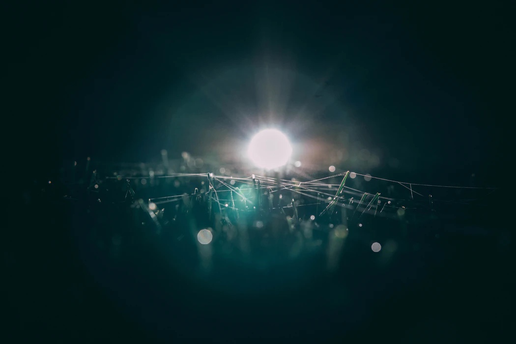 Approaching the Unapproachable Light – Blake Long